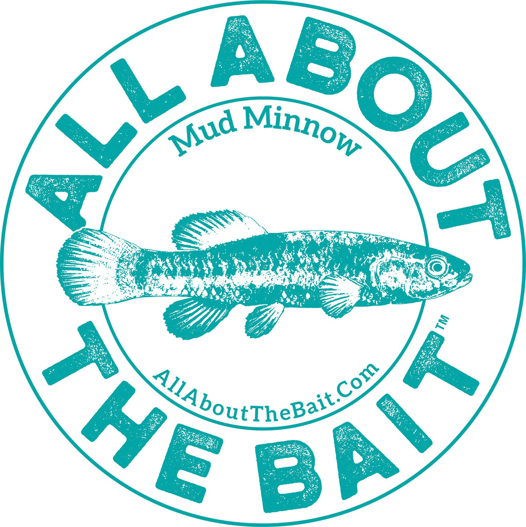 Mud Minnow 5" Round Sticker – All About The Bait