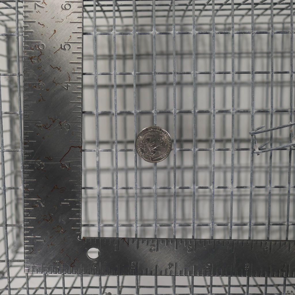 1"x1/2" Galvanized Chum Cage - FREE SHIPPING – All About The Bait