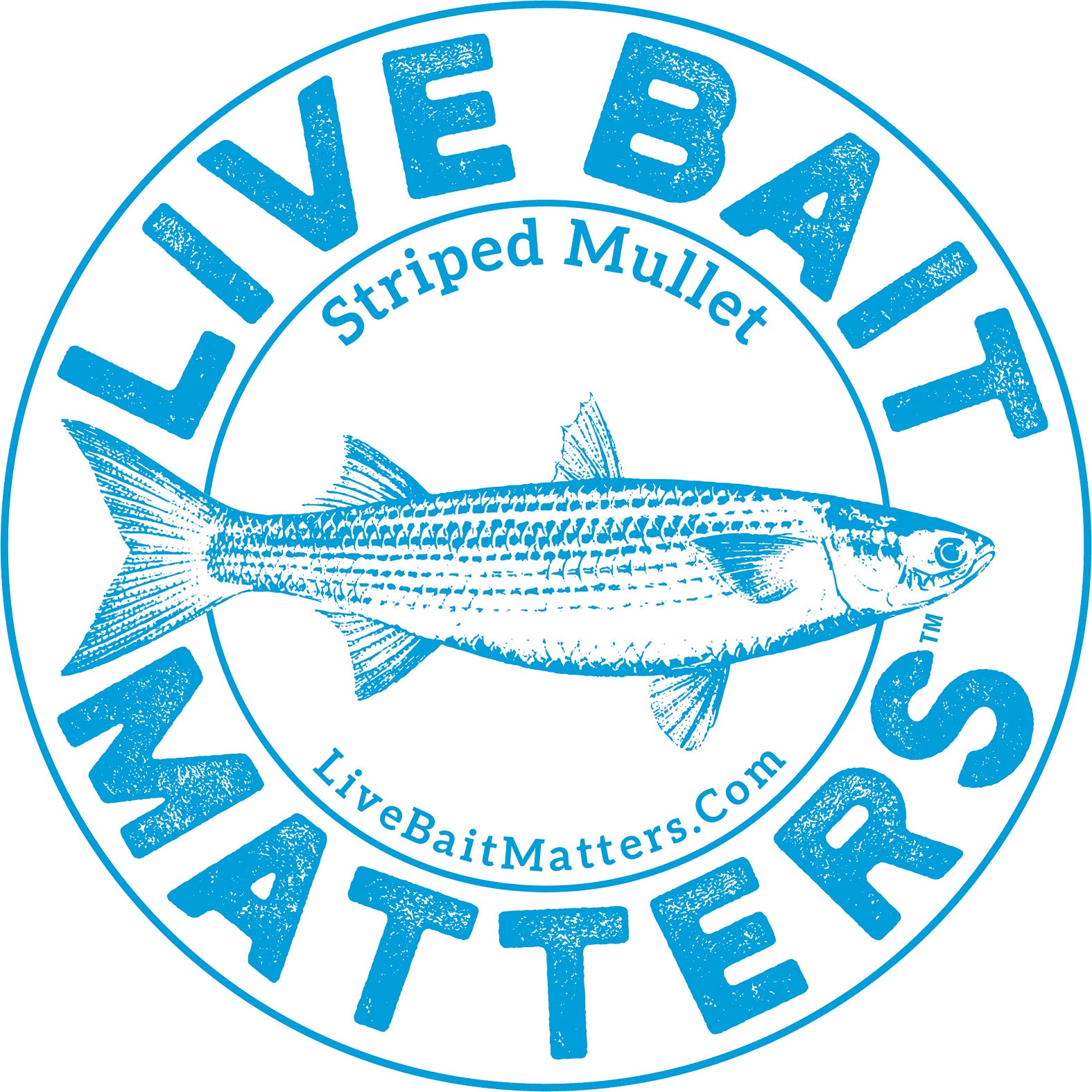 Live Bait Matters - Mullet 5" Round Sticker – All About The Bait