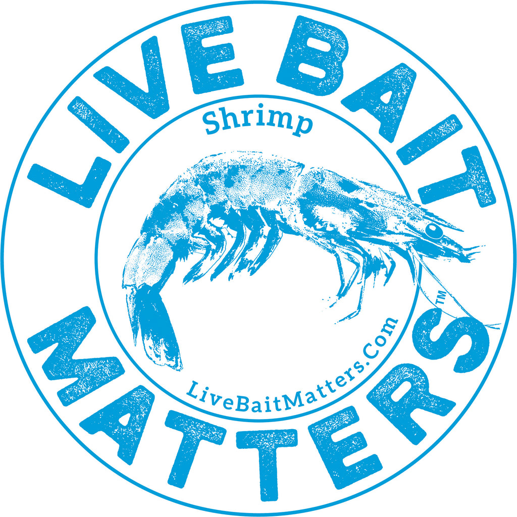 Live Bait Matters - Shrimp 5" Round Sticker – All About The Bait